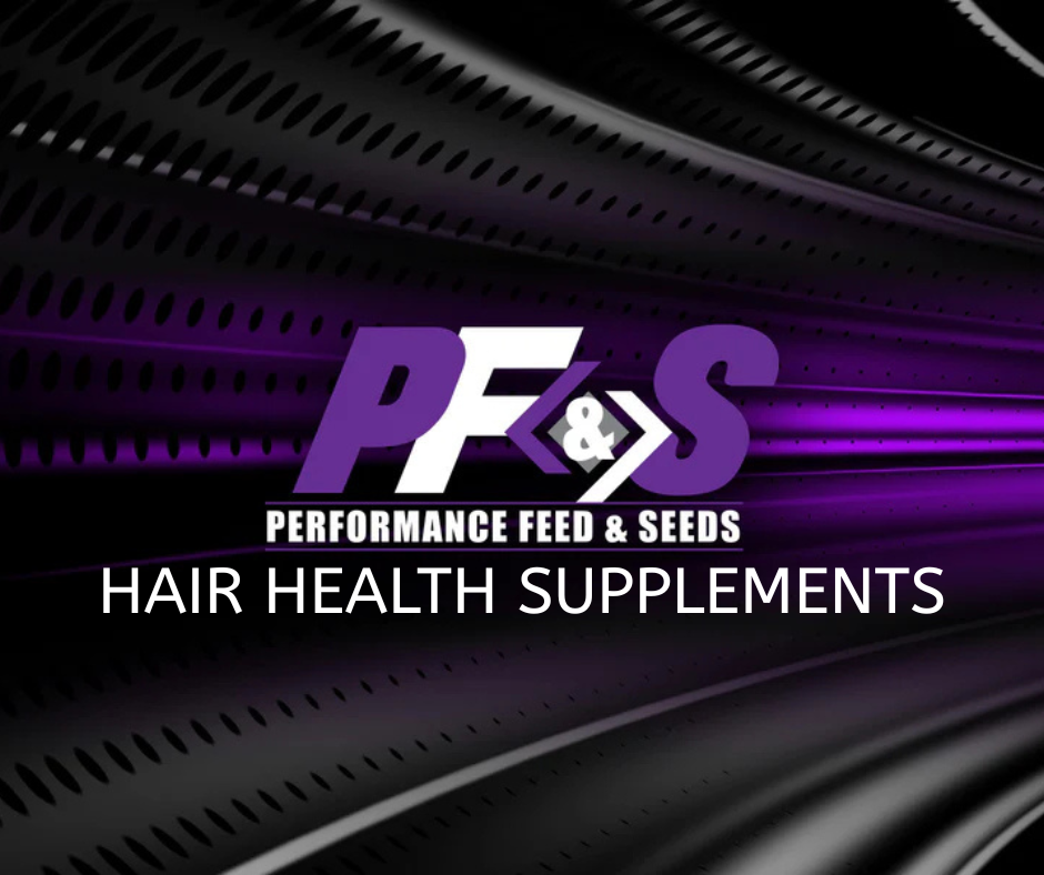 Hair Health Supplements – Performance Feed & Seeds
